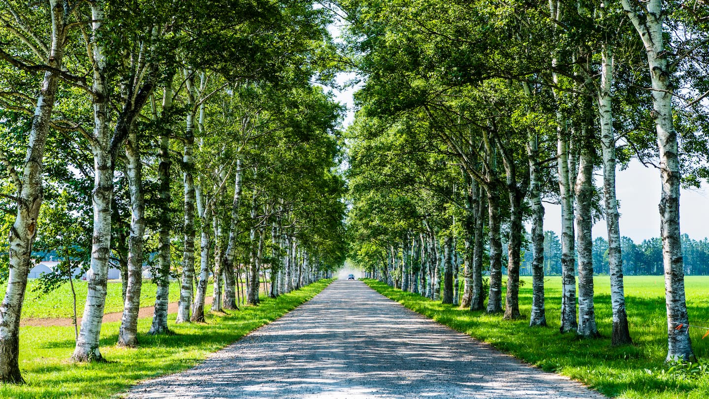 帯広の穴場スポット11選！地元民がこっそり教える観光名所を完全網羅 | NEWT（ニュート）